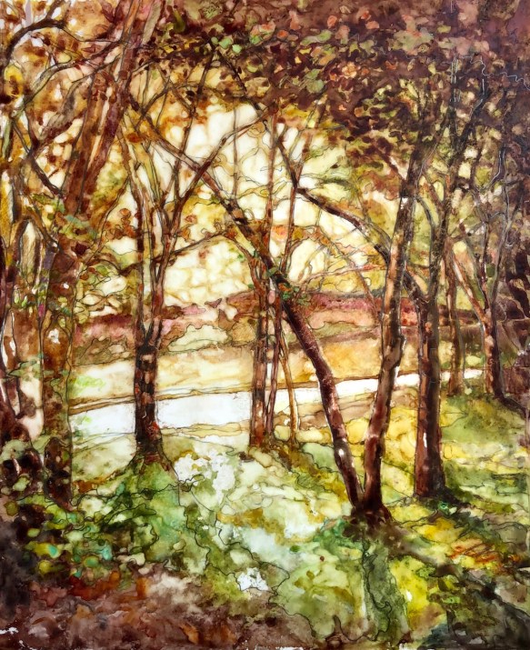 Carol Case Siracuse | New life as an artist….