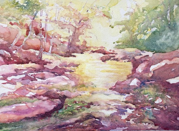 Carol Case Siracuse | New life as an artist….